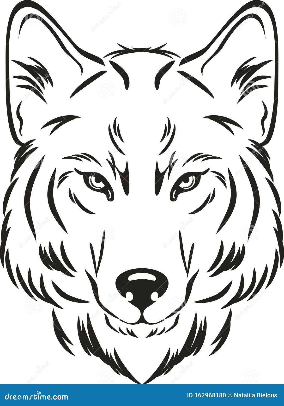 Wolf Face Outline Wolf's Head Outline Vector Illustration Isolated