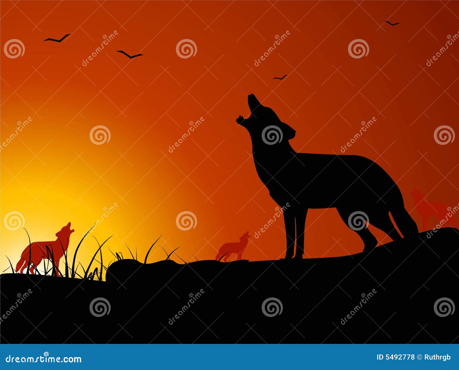 Wolf howling stock illustration. Illustration of howl - 5492778