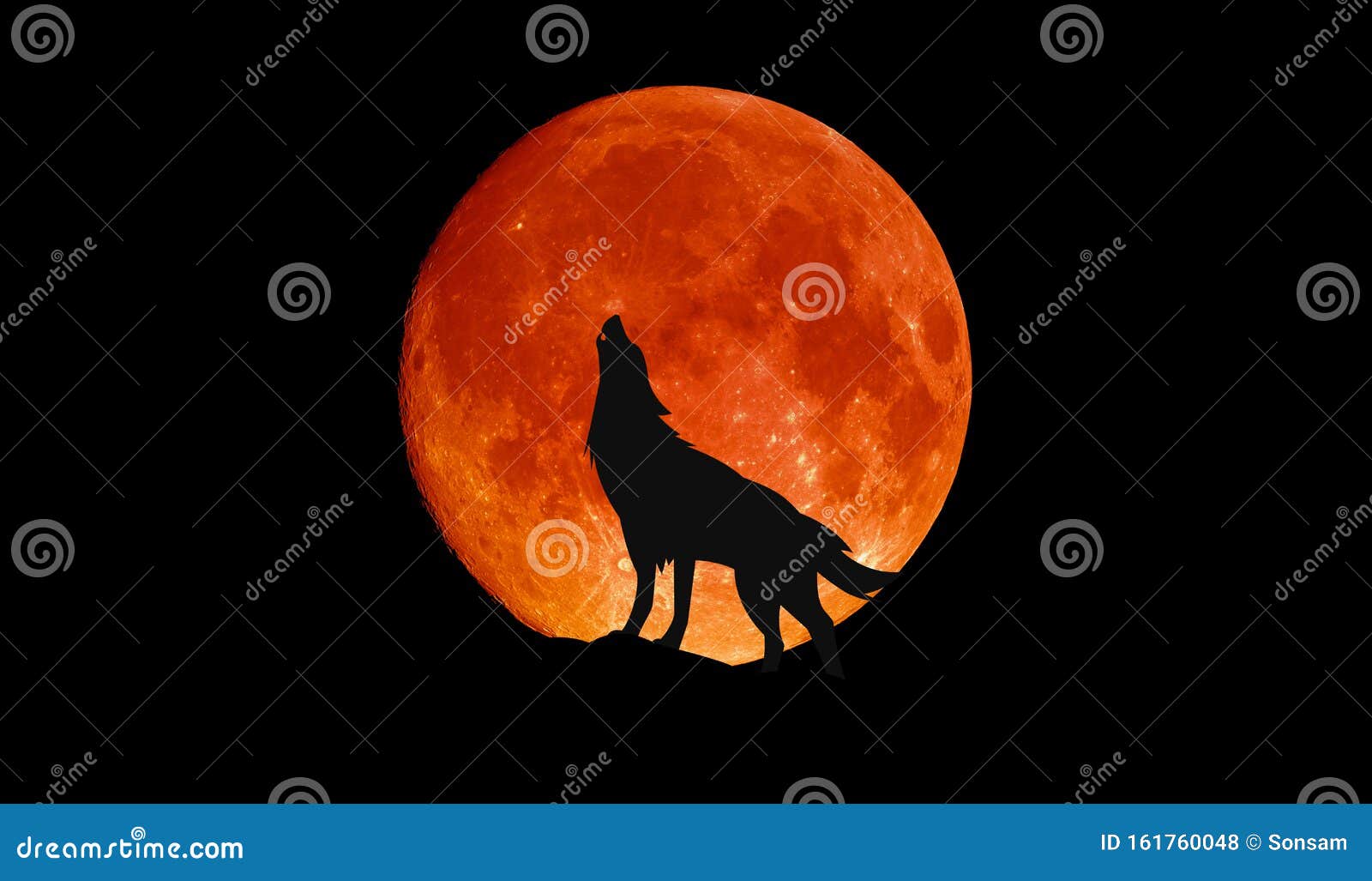 Wolf Howling at the Big Full Blood Moon Stock Photo - Image of ...