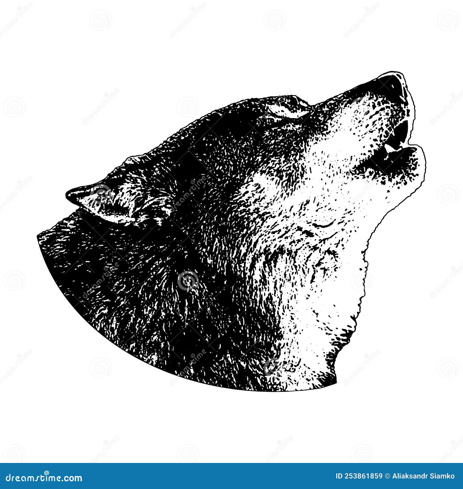 Wolf Howling Drawing Head
