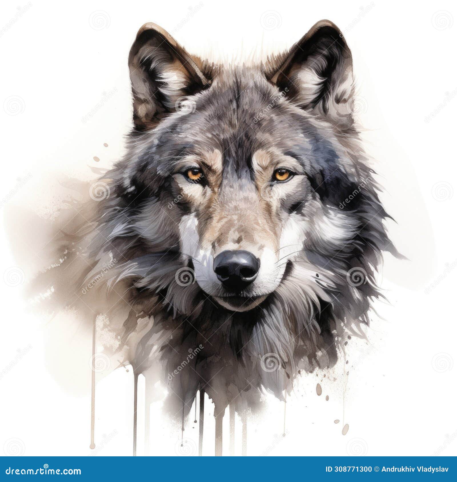 Wolf Illustration, Young Grey Wolf Stock Illustration - Illustration of ...