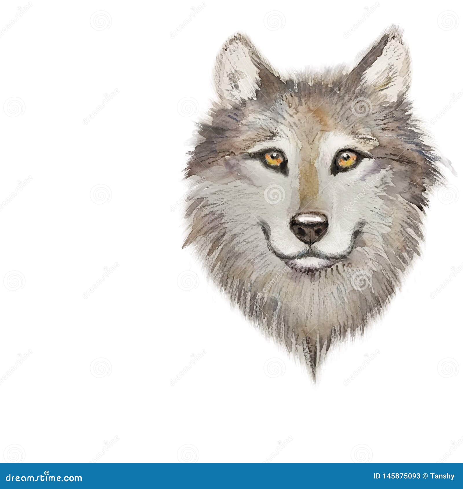 Wolf Logo Texture Background Watercolor Stock Illustration ...