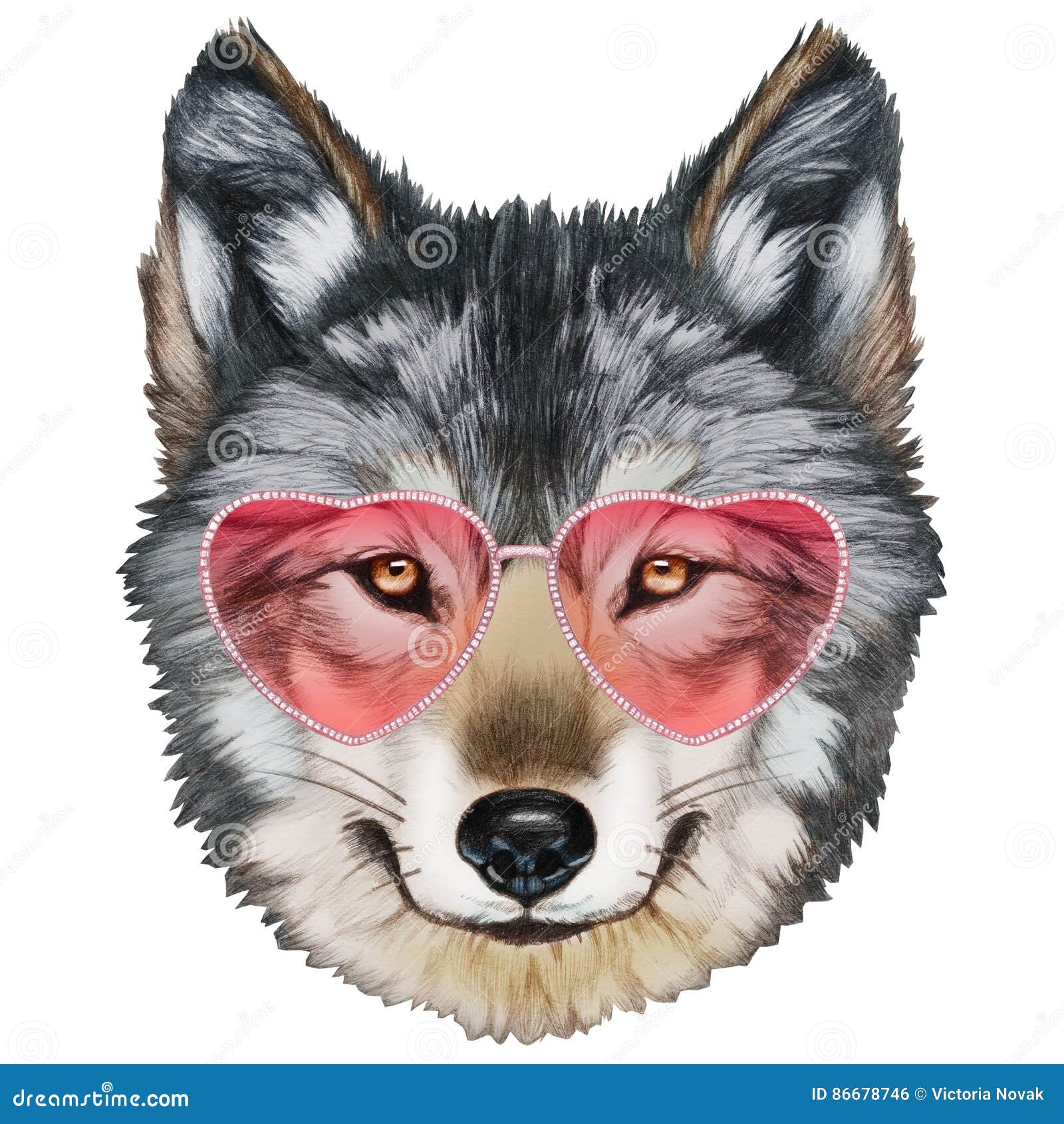 Wolf in Love! Portrait of Wolf with Sunglasses. Stock Illustration ...