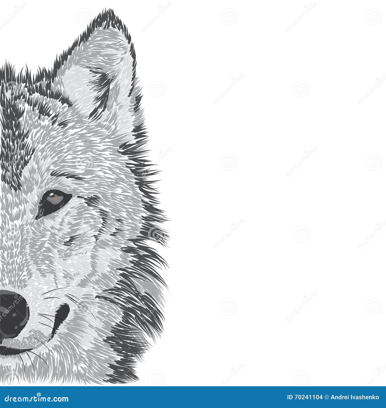 Wolf muzzle sketch stock vector. Illustration of artistic - 70241104