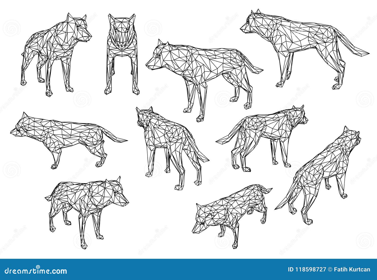 Wolf Polygonal Lines Illustration Stock Illustration - Illustration of ...
