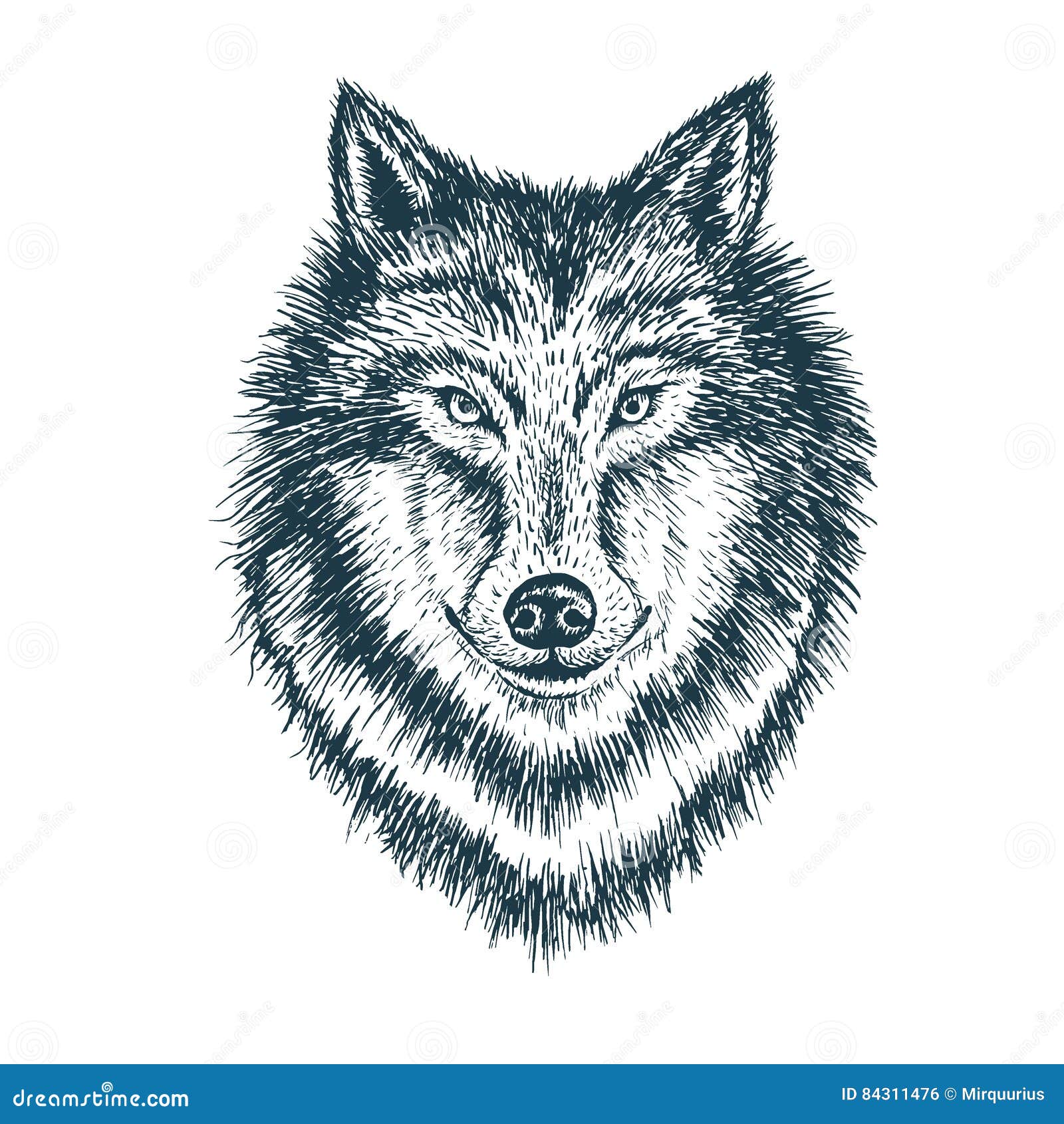 Wolf Portrait In Watercolor Painting Royalty-Free Stock Image ...