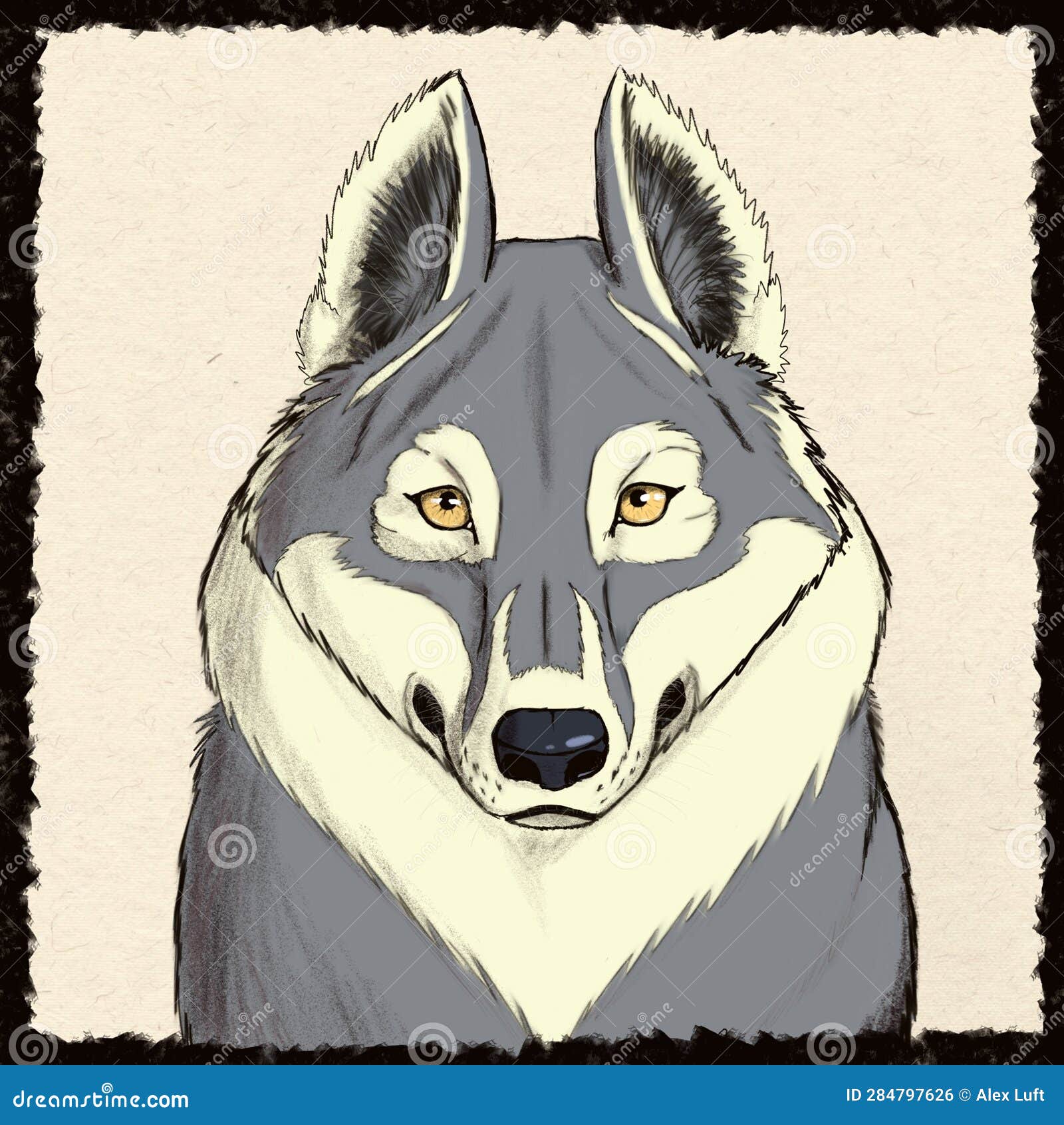 The Wolf Portrait Front Perspective Stock Illustration - Illustration ...