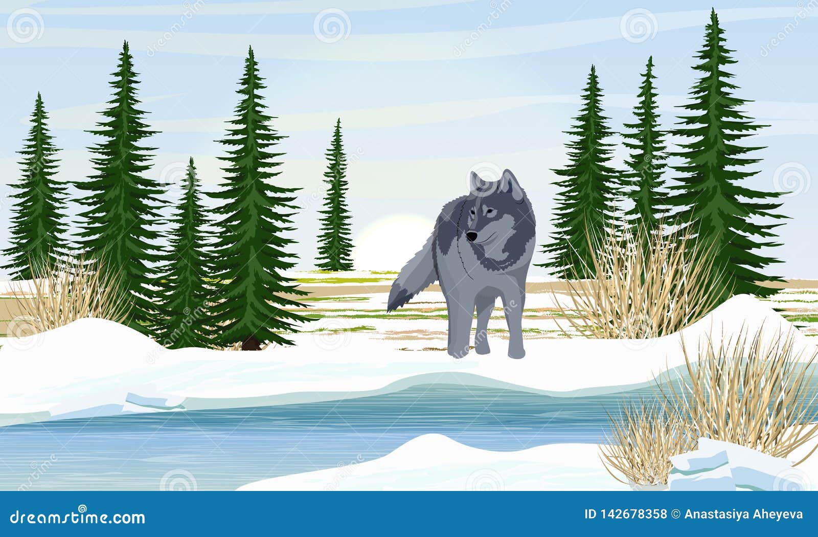 Wolf Spring Stock Illustrations – 855 Wolf Spring Stock Illustrations ...