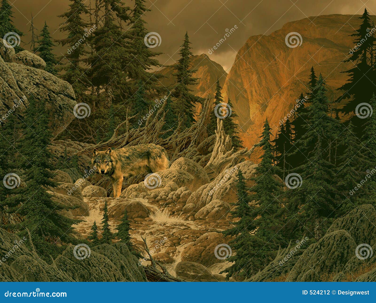 Wolf in the Rocky Mountains Stock Illustration - Illustration of ...