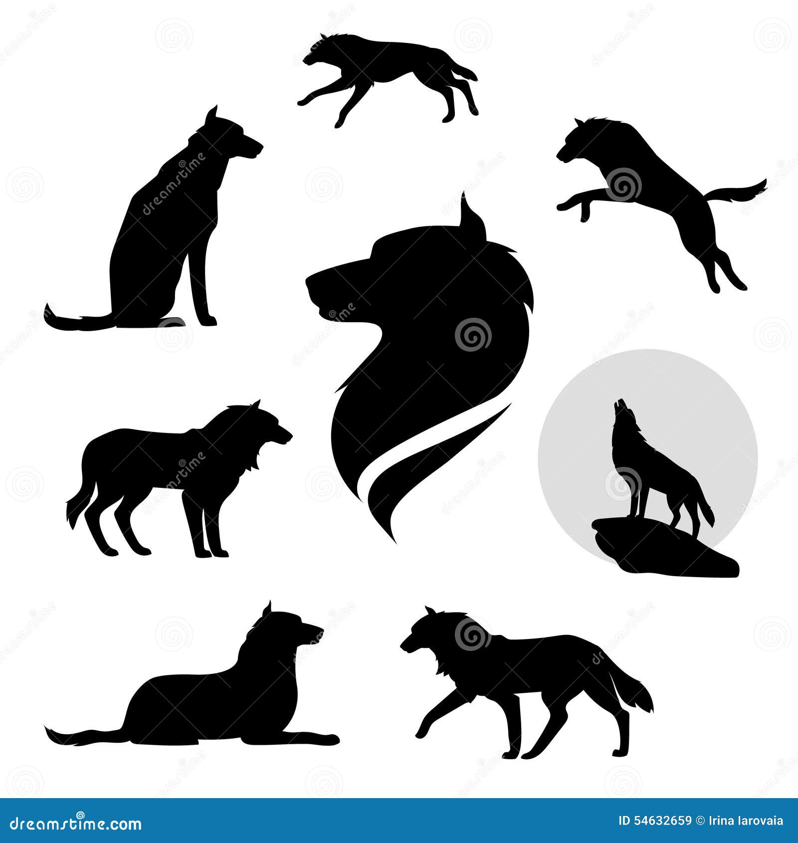 Wolf Poses Set, Cute Wild Animal Characters Standing In Different ...