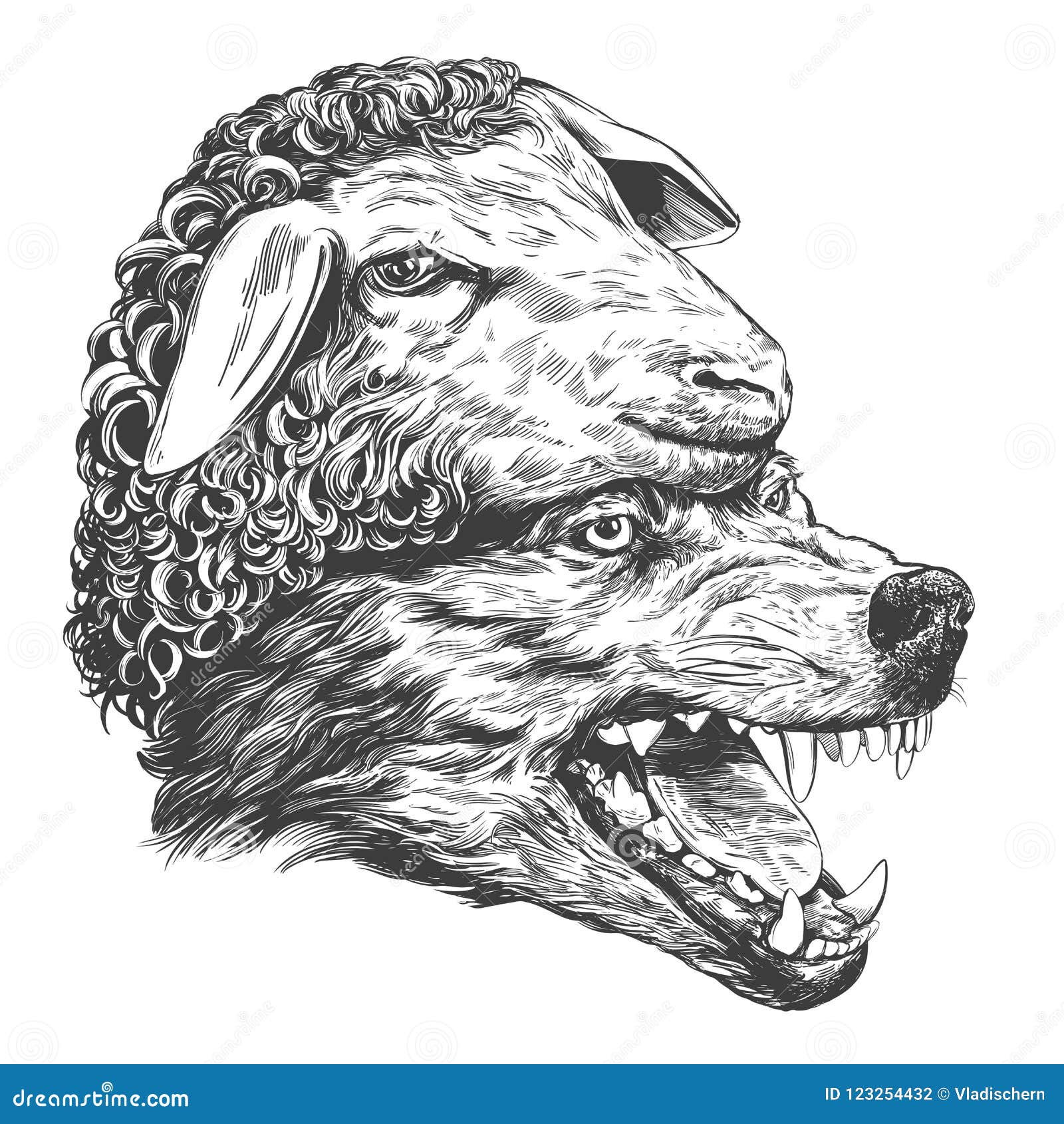 Wolf in Sheep S Clothing, Christian Parable, Hand Drawn Vector ... Wolf in Sheep S Clothing, Christian Parable, Hand Drawn Vector ...