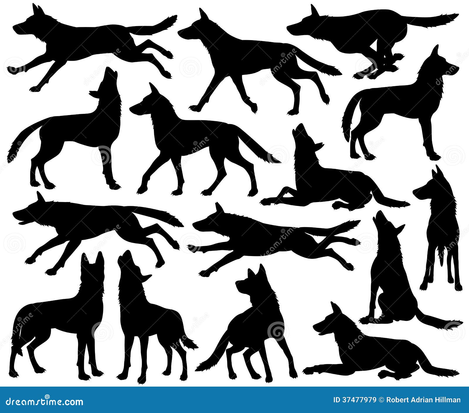 Wolf silhouettes stock vector. Illustration of outline - 37477979