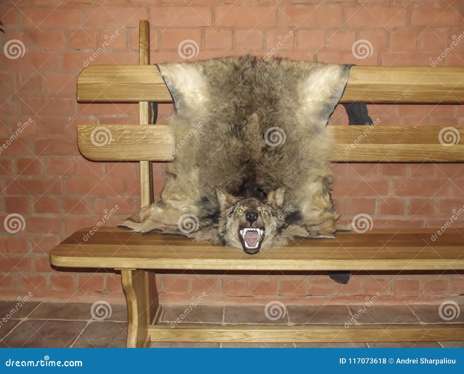 Wolf Skin, Stuffed Wolf Hanging on the Bench of the Hunter`s Castle ...