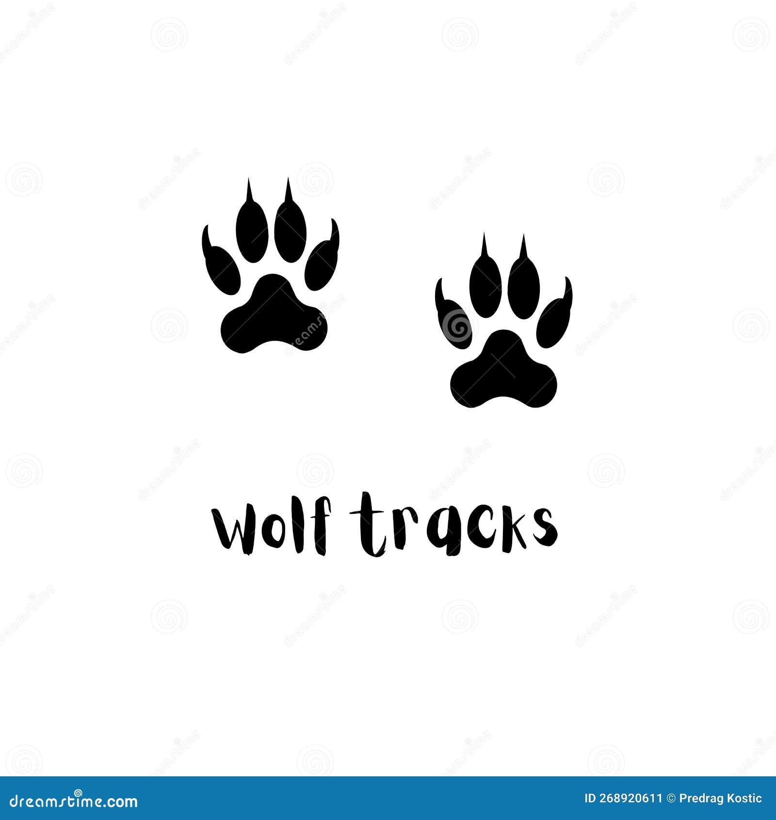 Wolf tracks stock illustration. Illustration of presentation - 268920611