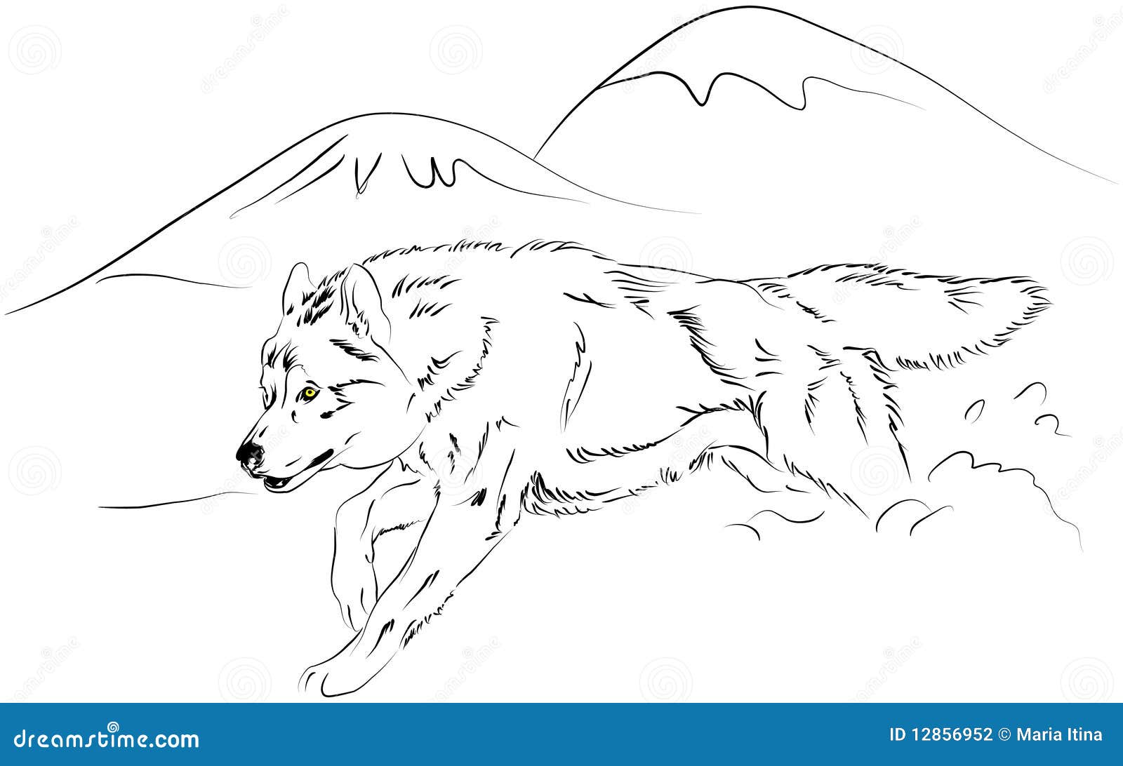 Wolf vector stock vector. Illustration of drawing, life - 12856952