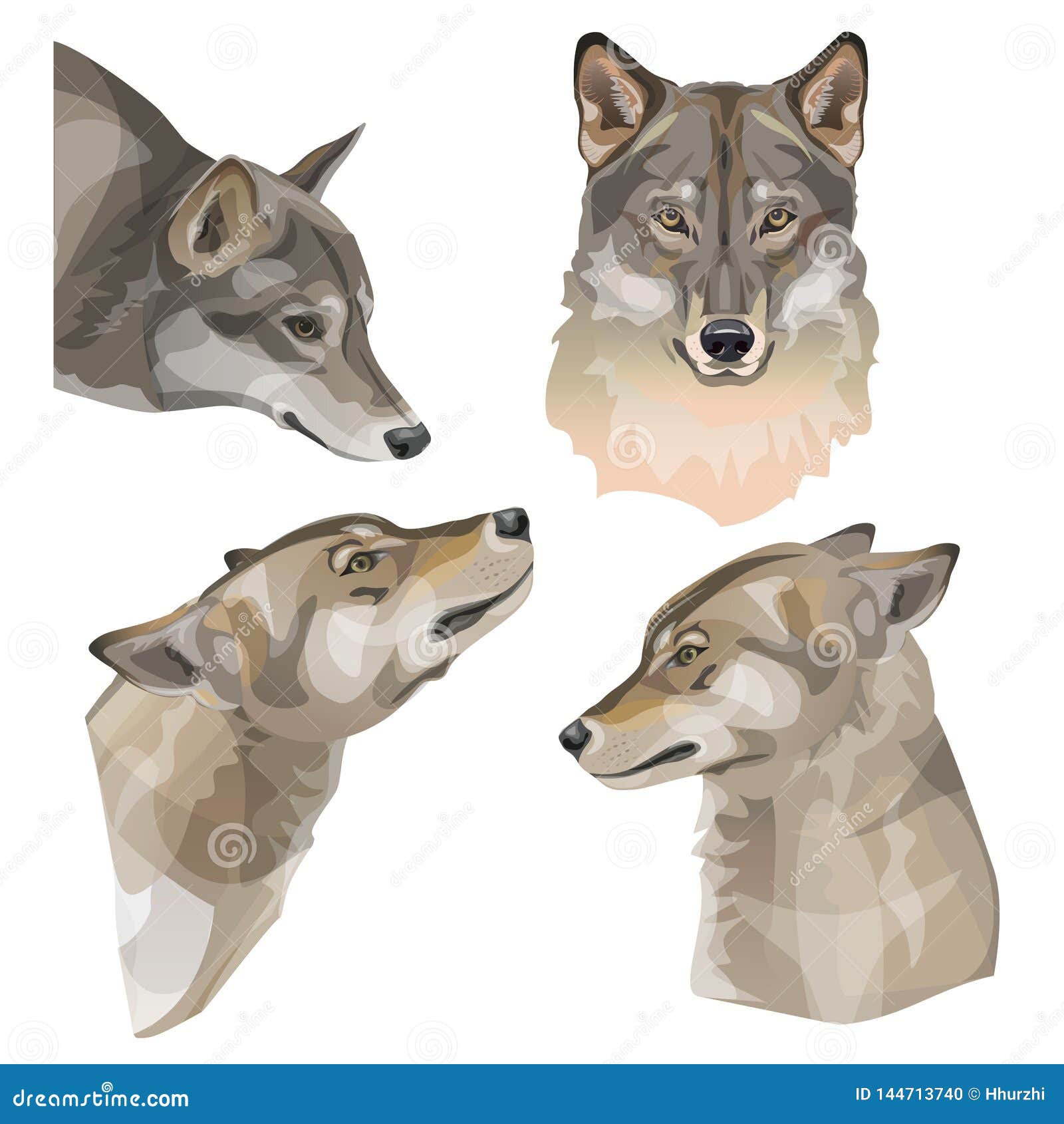 Wolf Vector Portraits | CartoonDealer.com #144713740