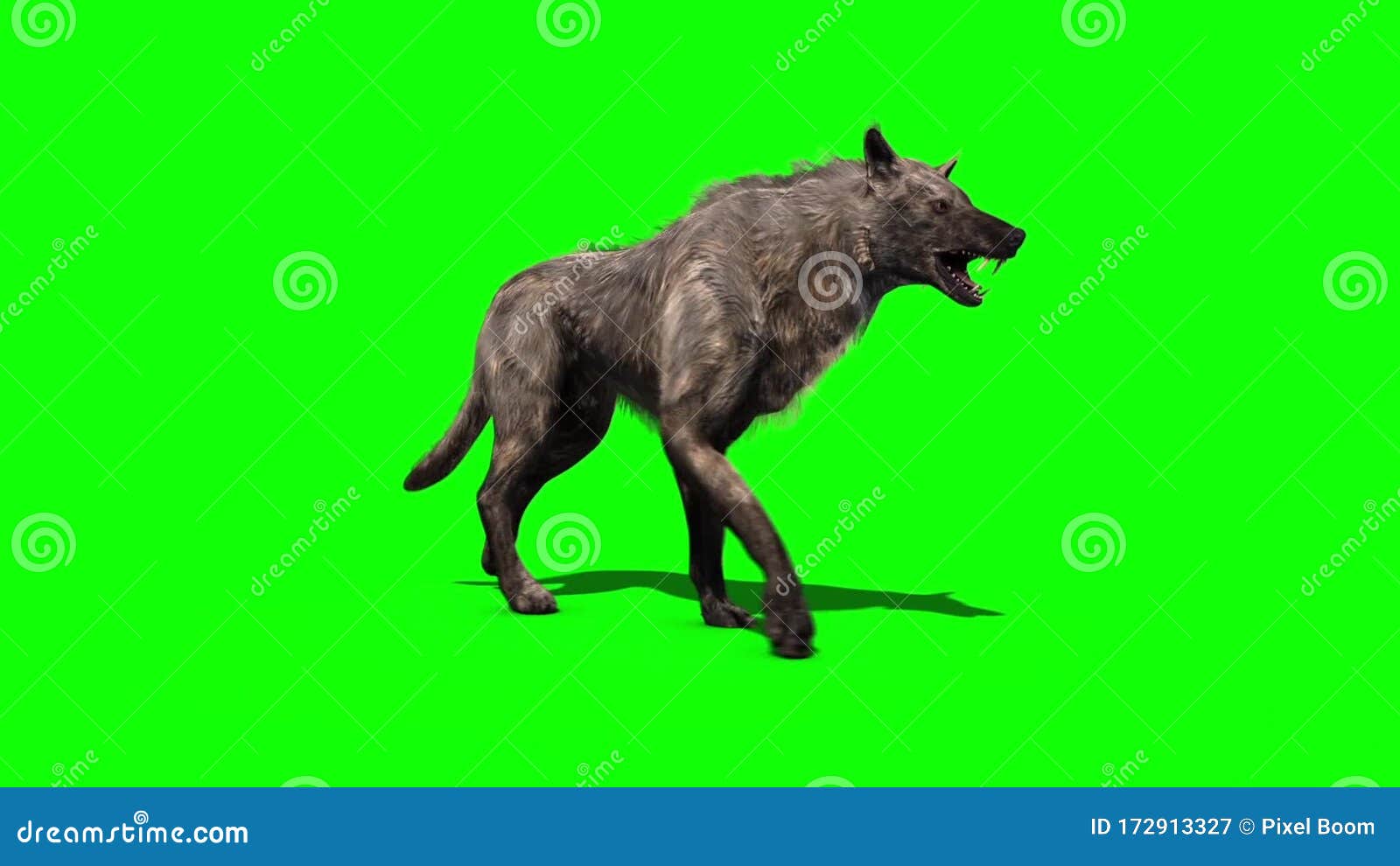 Wolf Walk Cycle