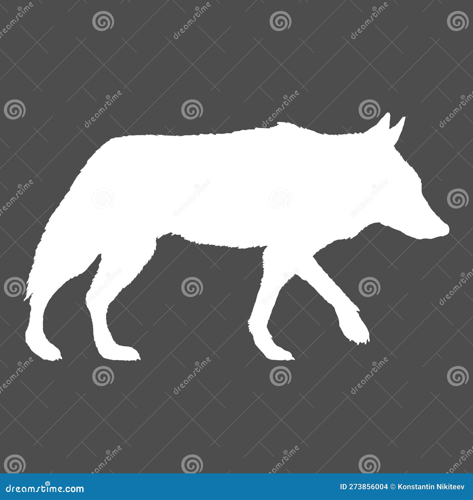 Wolf Walking Side View Vector White Silhouette Illustration Stock ...
