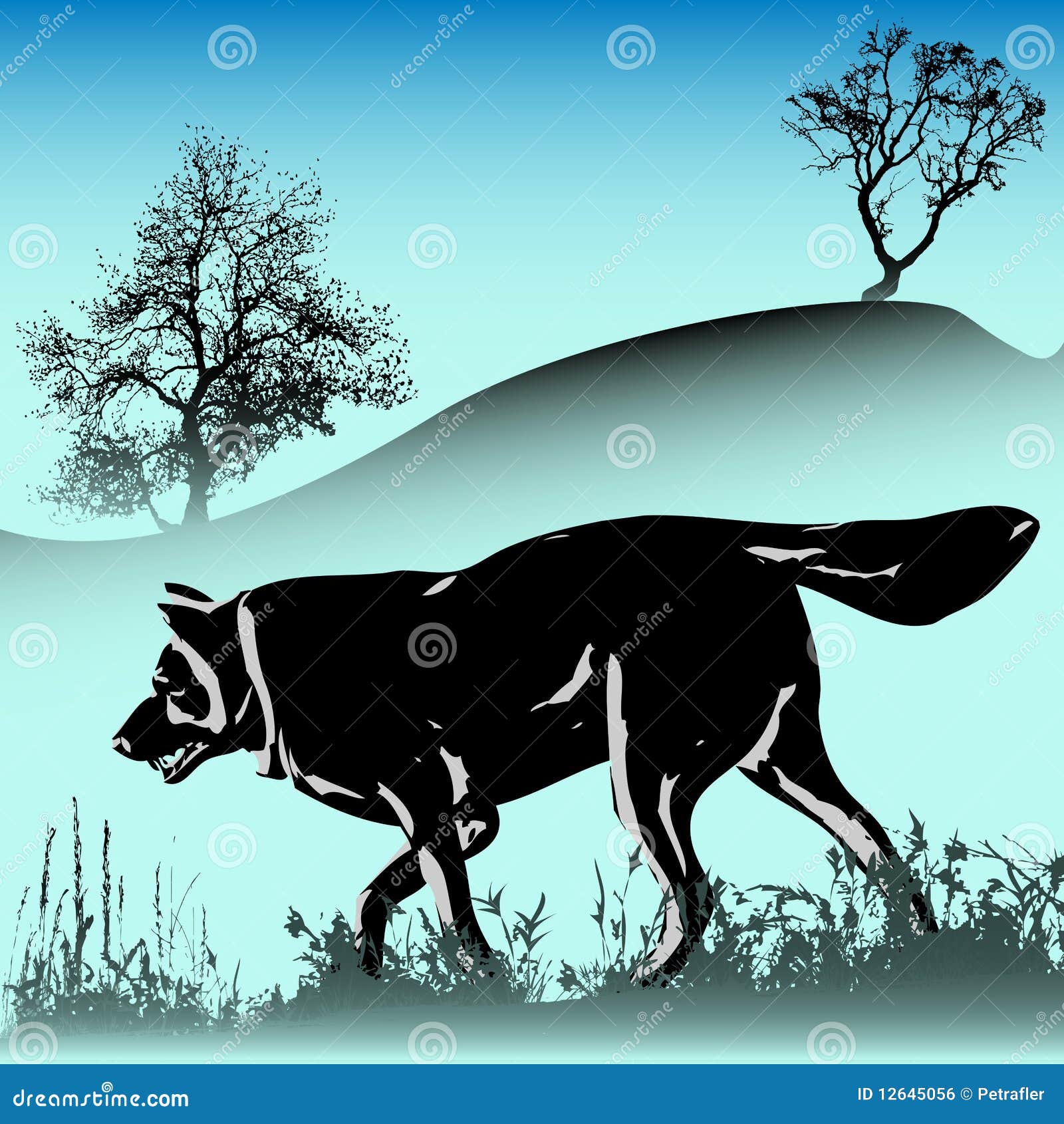 Wolf Winter stock vector. Illustration of night, lone - 12645056