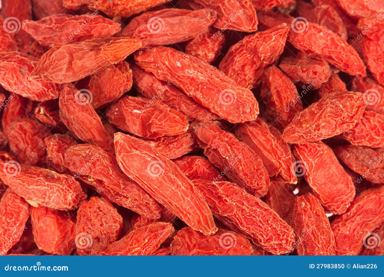 Wolfberry fruit stock photo. Image of fruit, culture - 27983850