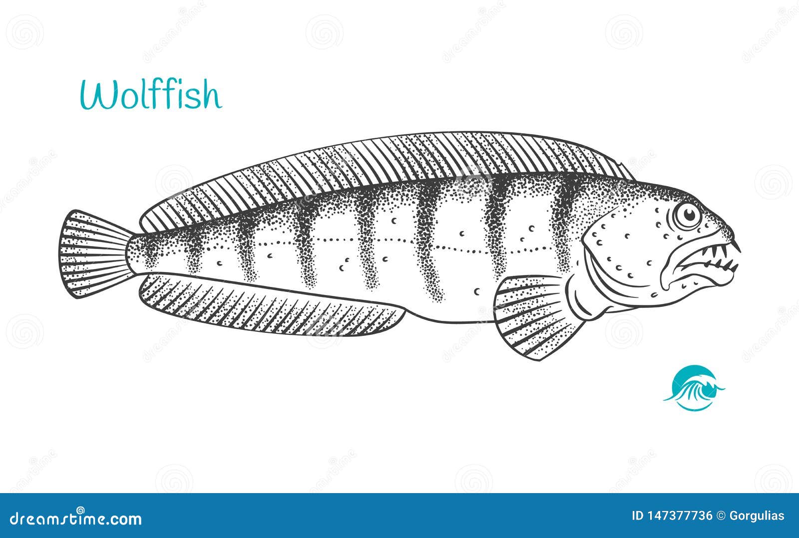 Wolffish Stock Photo | CartoonDealer.com #45630060