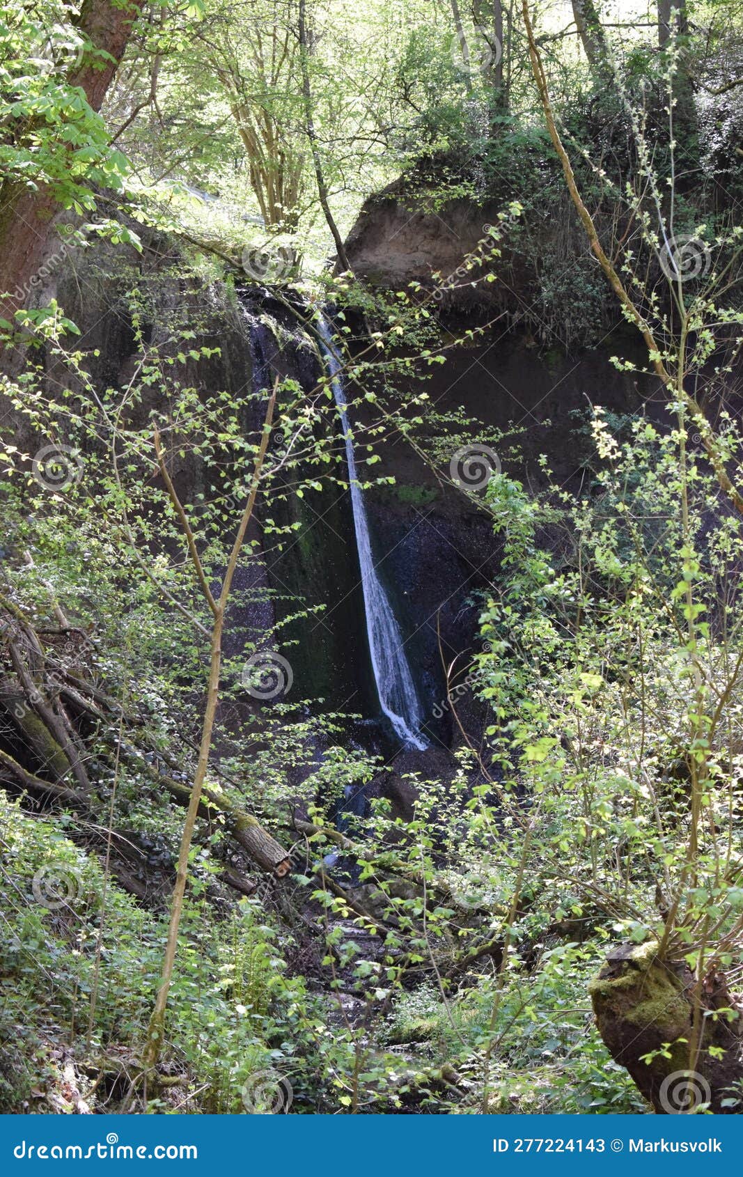 Wolfsschlucht Waterfall In Summer Between Plants Royalty-Free Stock ...