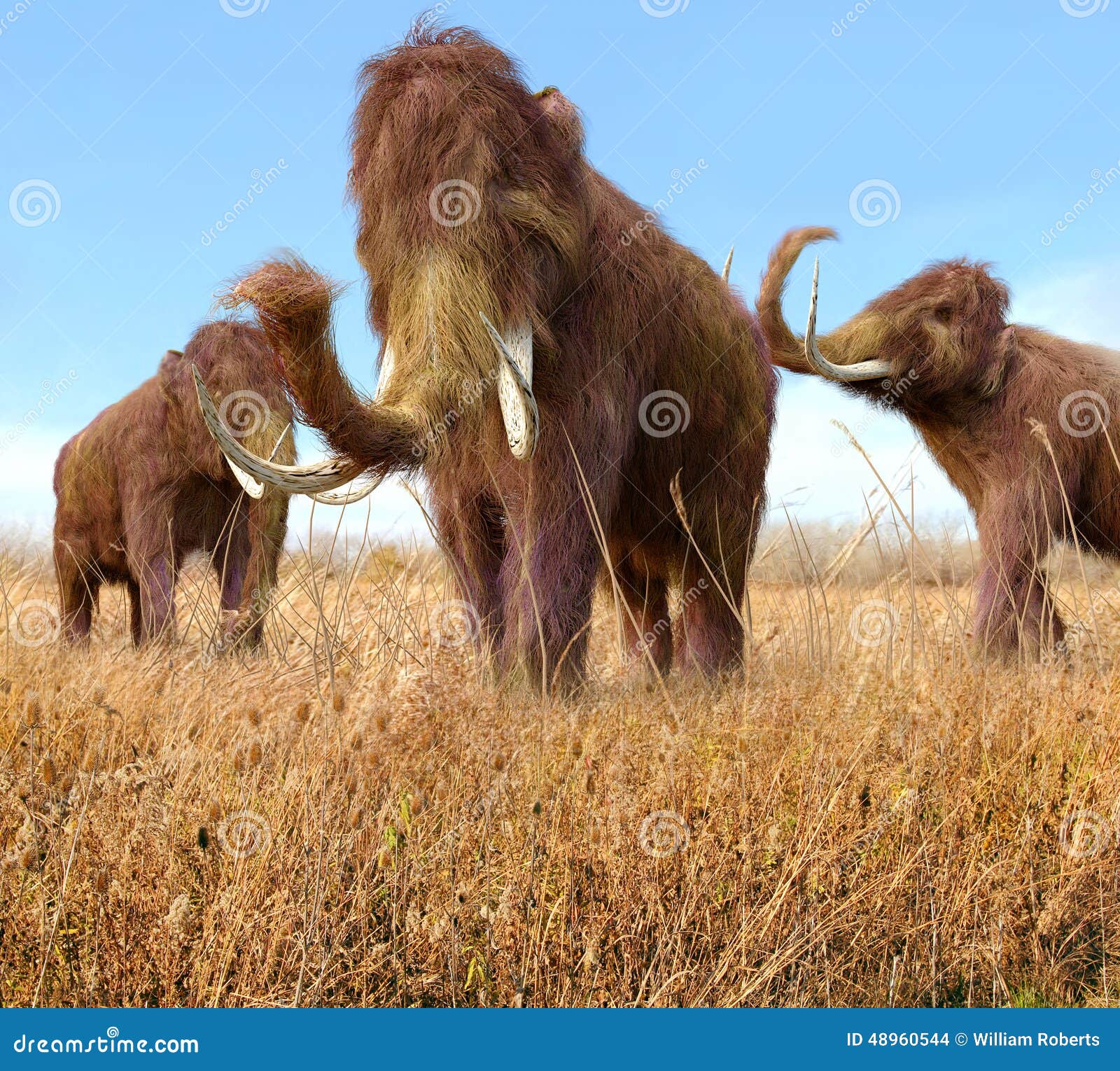 Wollige Mammoeten Die in Weide Weiden Stock Illustratie - Illustration ...