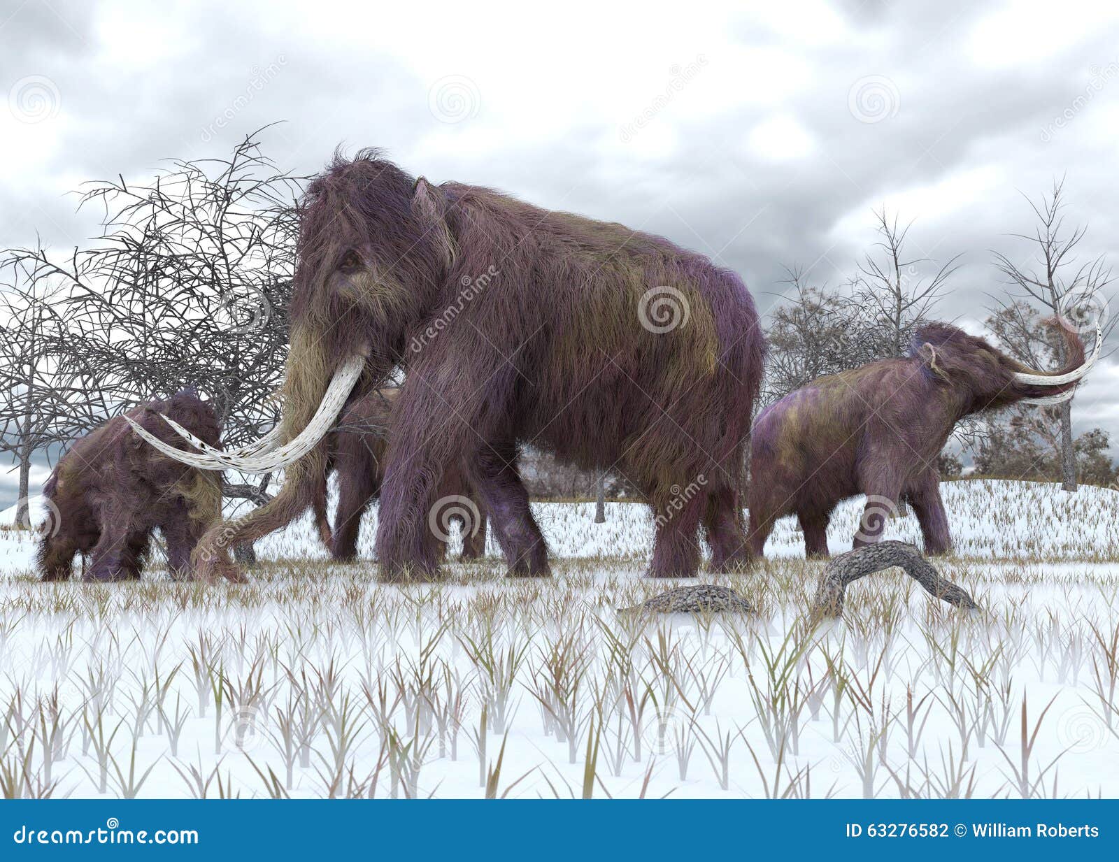 Wollige Weiden Lassende Mammuts Stock Abbildung - Illustration von ...