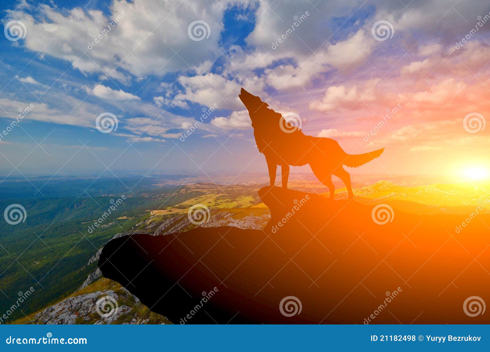 Wolve Cartoons, Illustrations & Vector Stock Images - 237 Pictures to ...