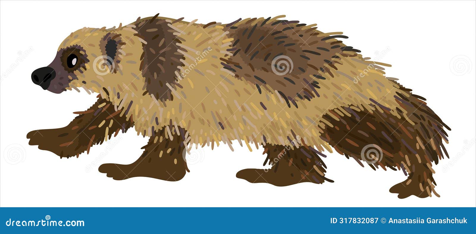 Wolverine Animal Sign. Cartoon Vector | CartoonDealer.com #100139181