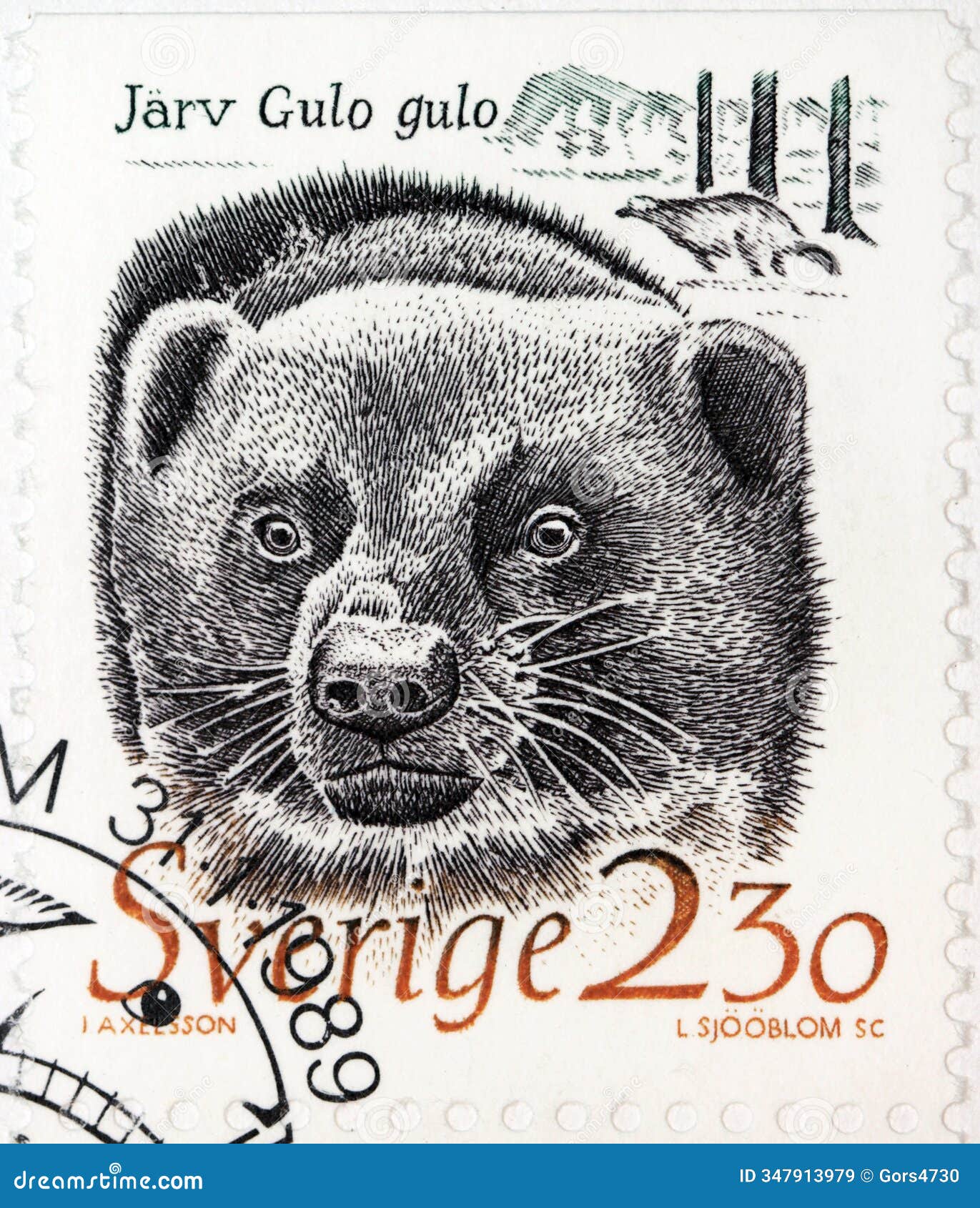 Wolverine Stamp stock image. Image of wolverine, carcajou - 347913979