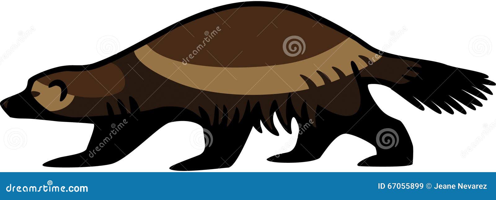 Wolverine stock vector. Illustration of carnivore, animal - 67055899