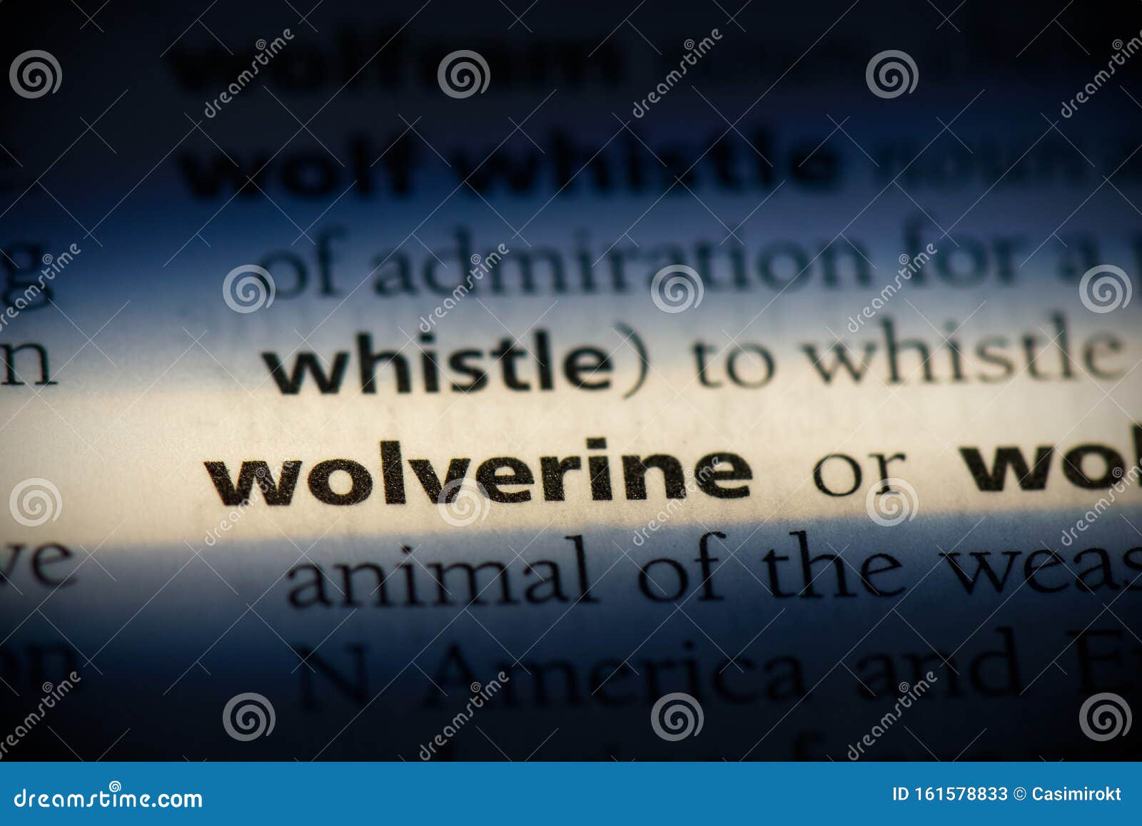 Wolverine stock image. Image of closeup, page, concept - 161578833