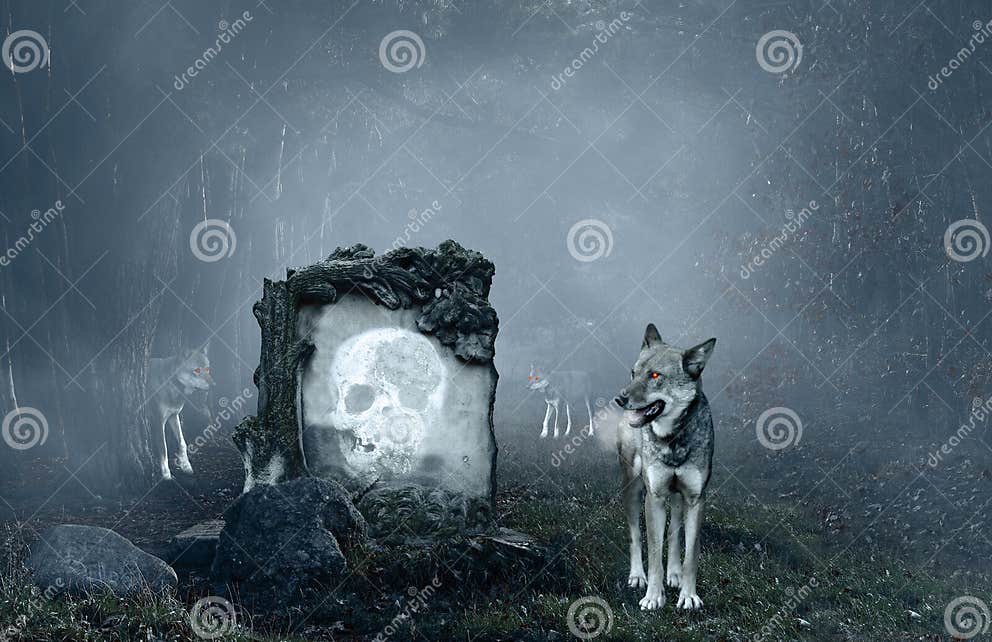 Wolves Guarding an Old Grave Stock Photo - Image of funeral, grave ...
