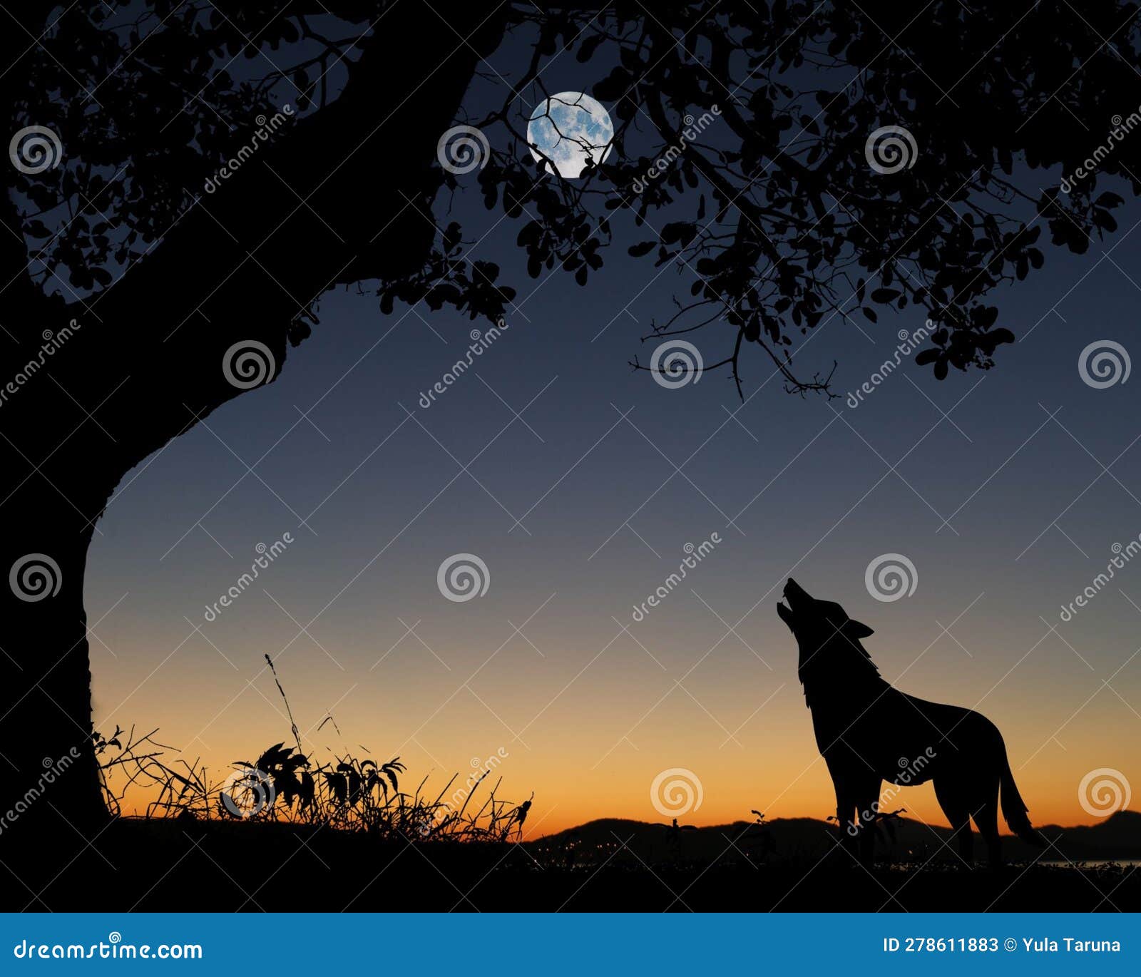 Wolves Howling Under a Tree on a Full Moon Evening Stock Image - Image ...