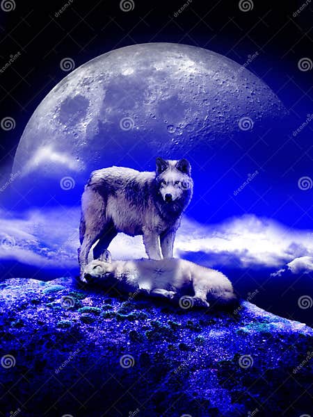 Wolves under the moon stock illustration. Illustration of moon - 48587808