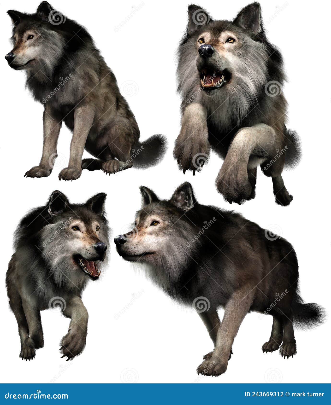 Wolves in Various Poses 3D Renders Stock Illustration - Illustration of ...
