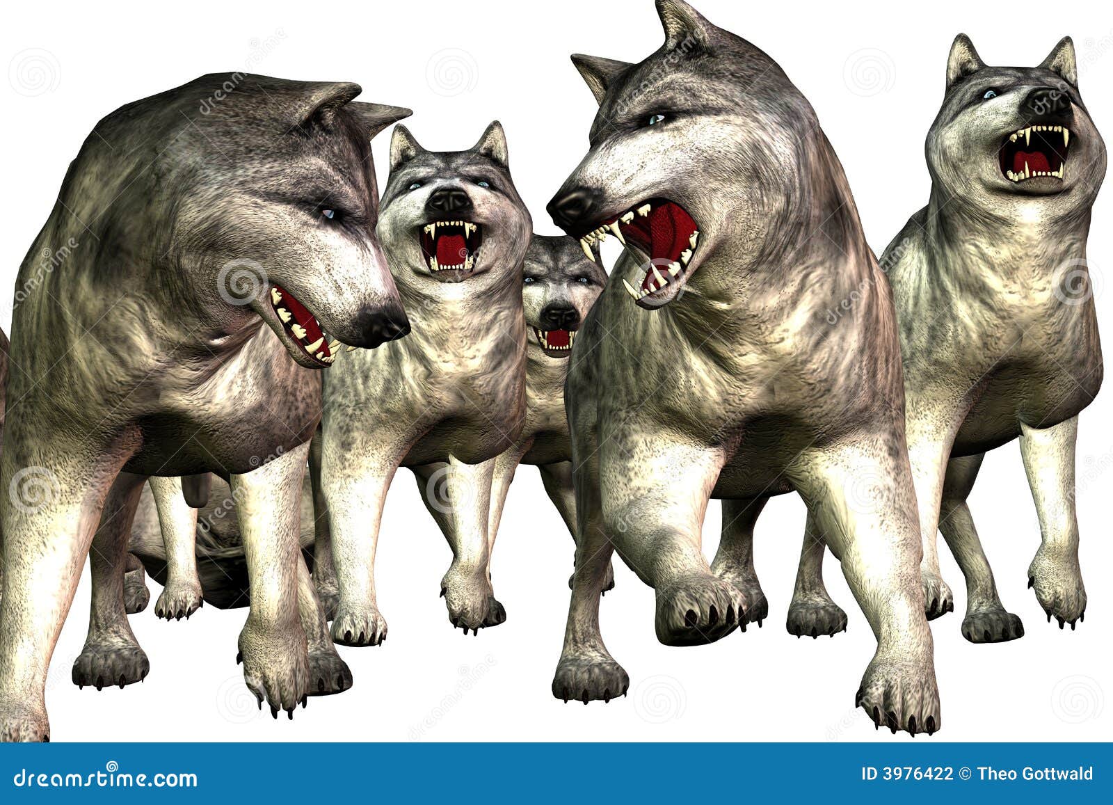 Wolves (Wolfs) stock illustration. Illustration of attack - 3976422