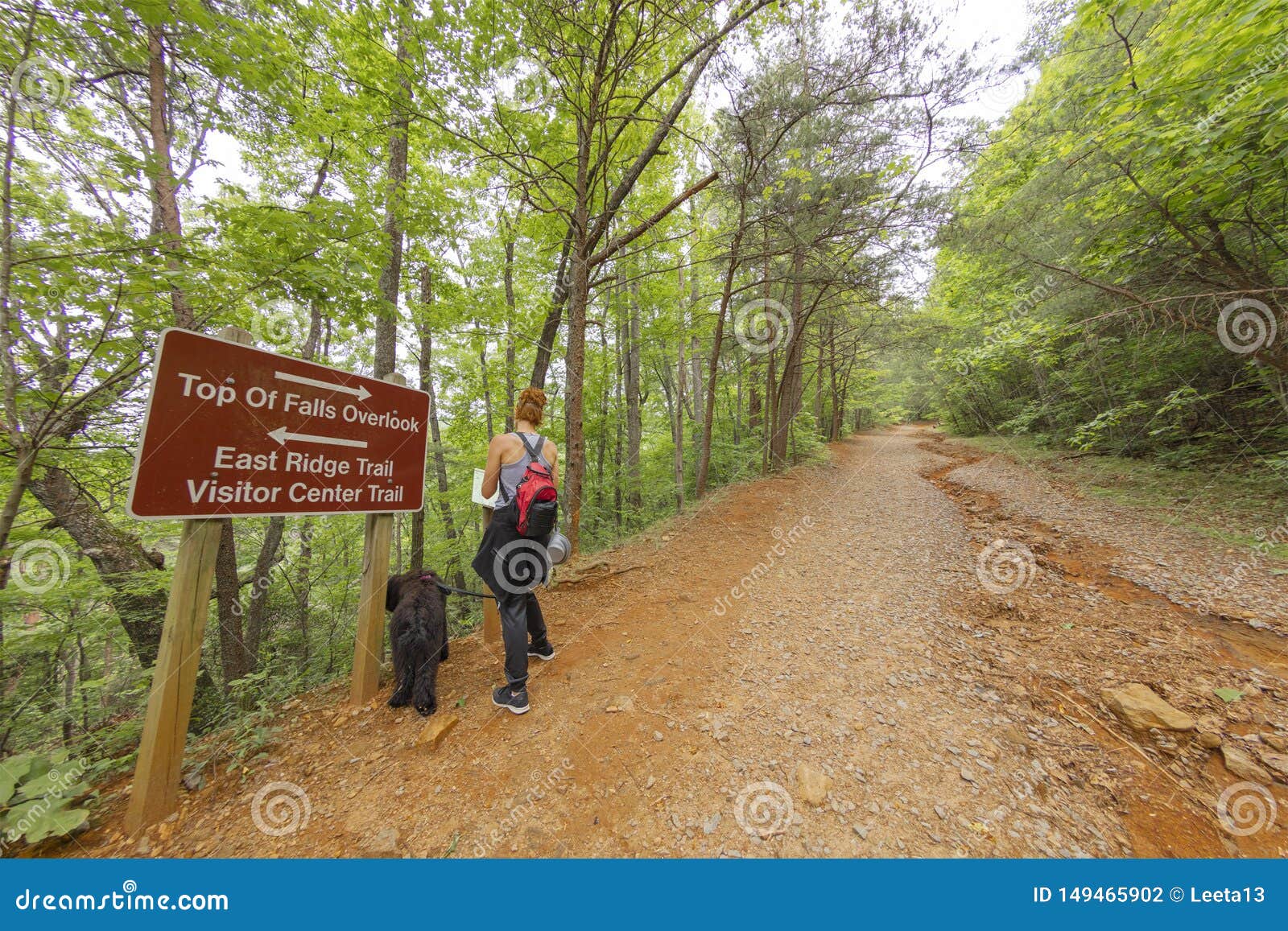 Woma Reading Map Along Amicalola Falls State Park Trail Editorial ... Woma Reading Map Along Amicalola Falls State Park Trail Editorial ...