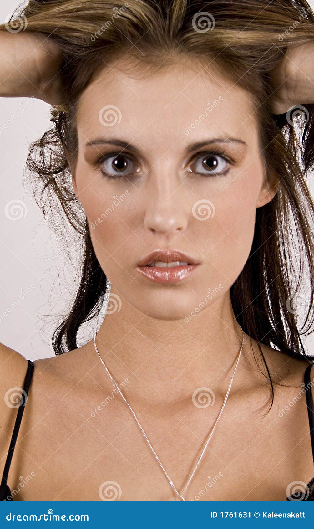 Woman stock image. Image of lady, alluring, person, portrait - 1761631