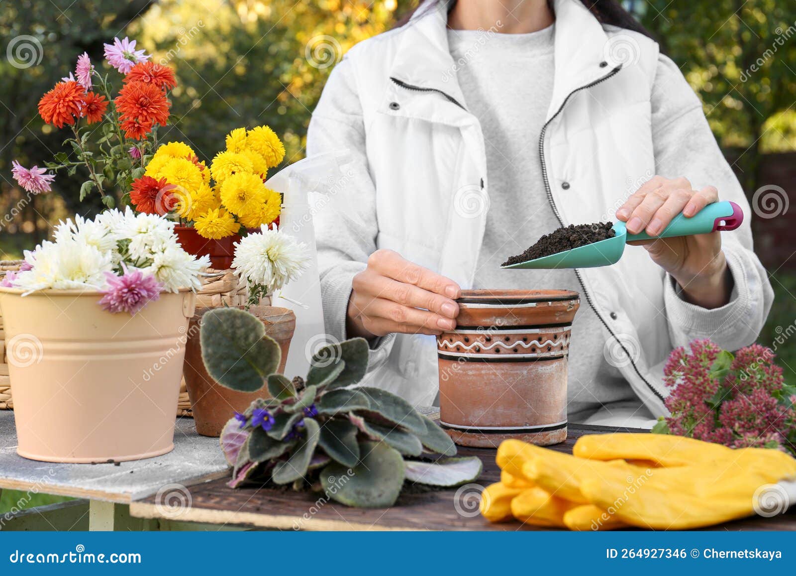 Woman Adding Fresh Soil into Pot in Garden, Closeup Stock Photo - Image ...