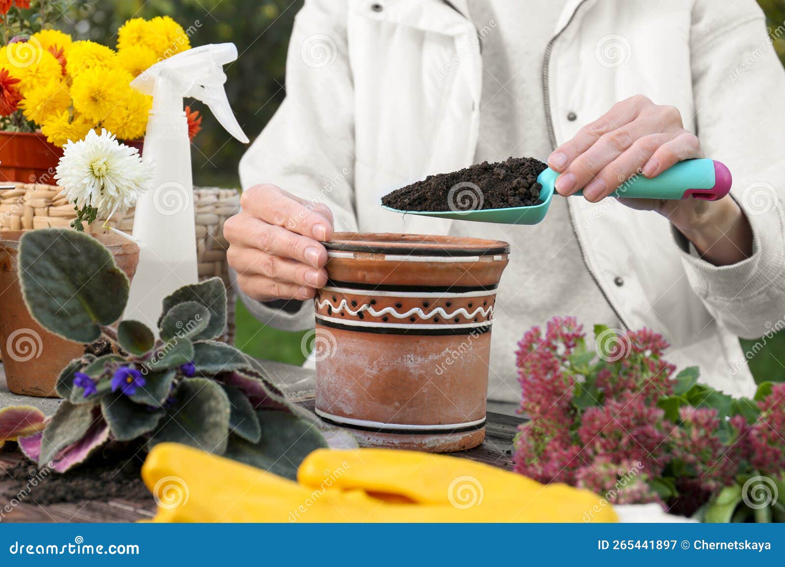 Woman Adding Fresh Soil into Pot in Garden, Closeup Stock Image - Image ...