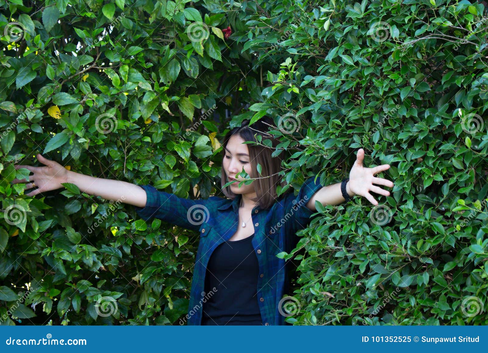 Woman against a tree stock image. Image of woman, people - 101352525