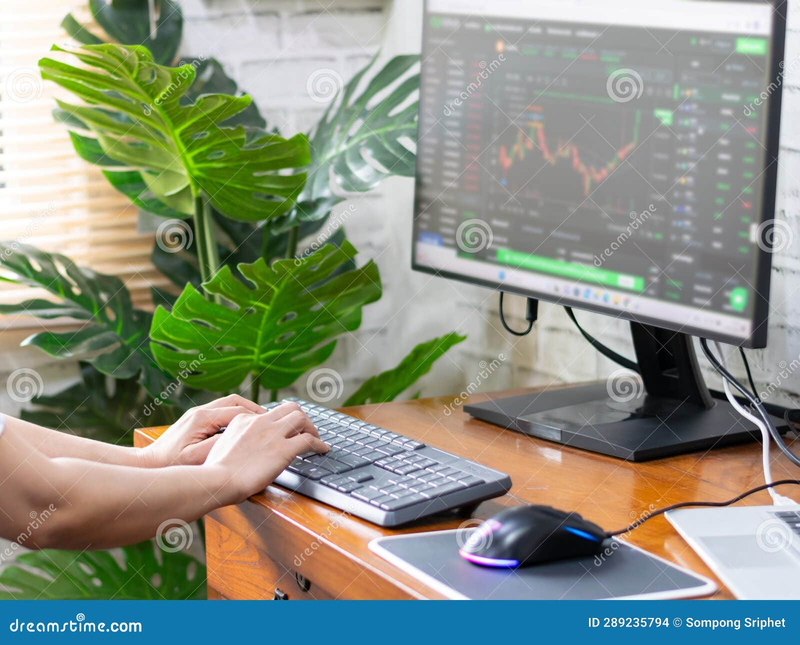 Woman Analyzing Graphs in Progress Money the Table Doing Work Stock ...