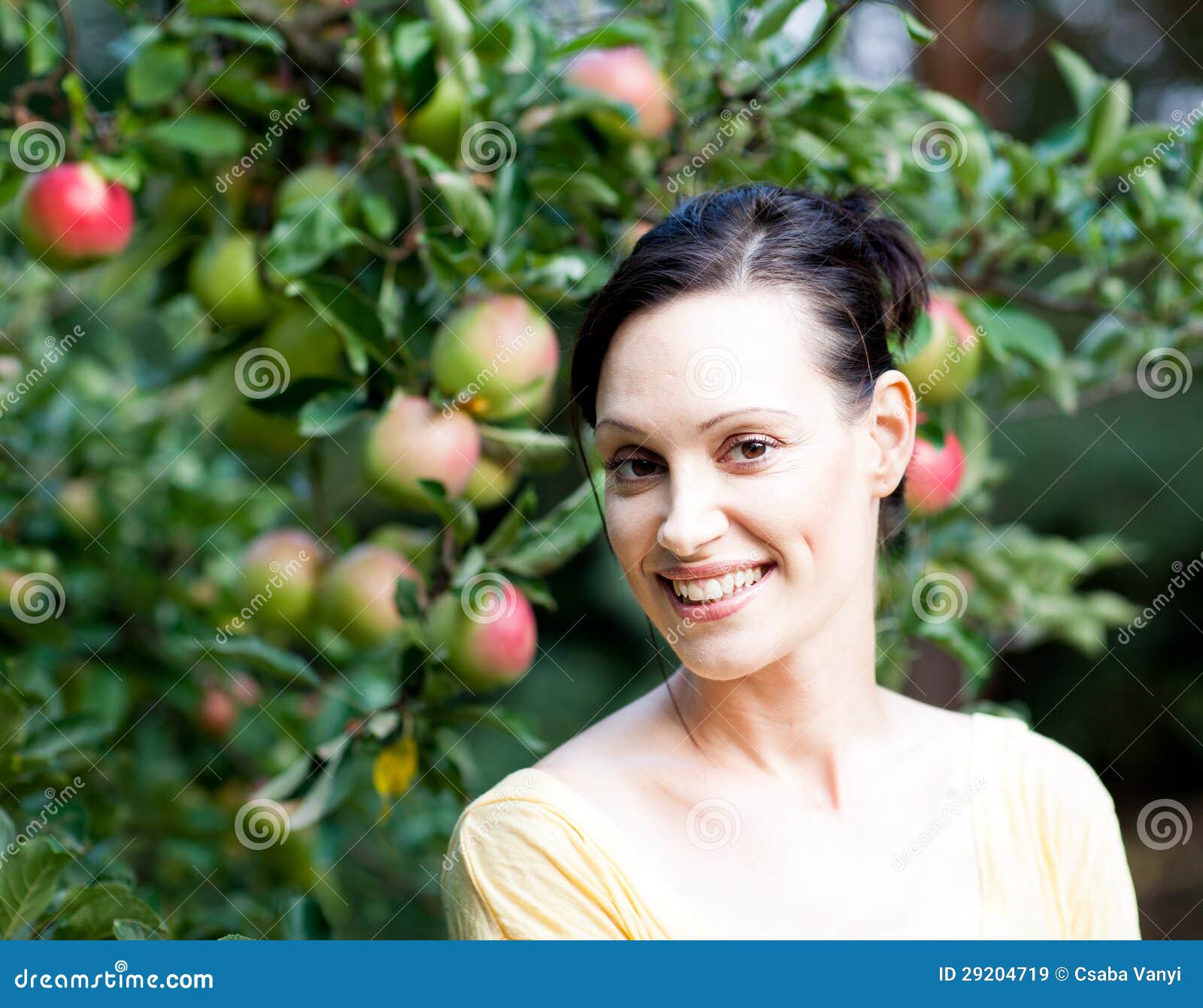 Woman with apple tree stock image. Image of girl, people - 29204719