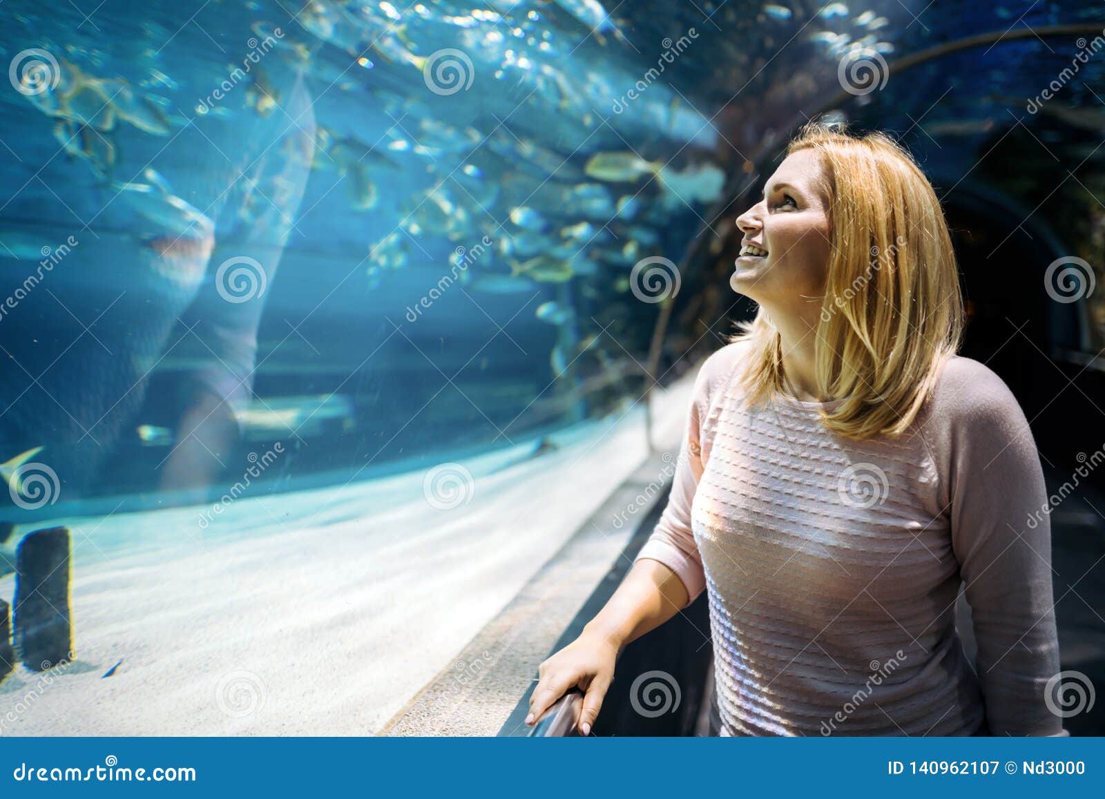 Woman in the Aquarium Watching the Fish Stock Image - Image of animal ...