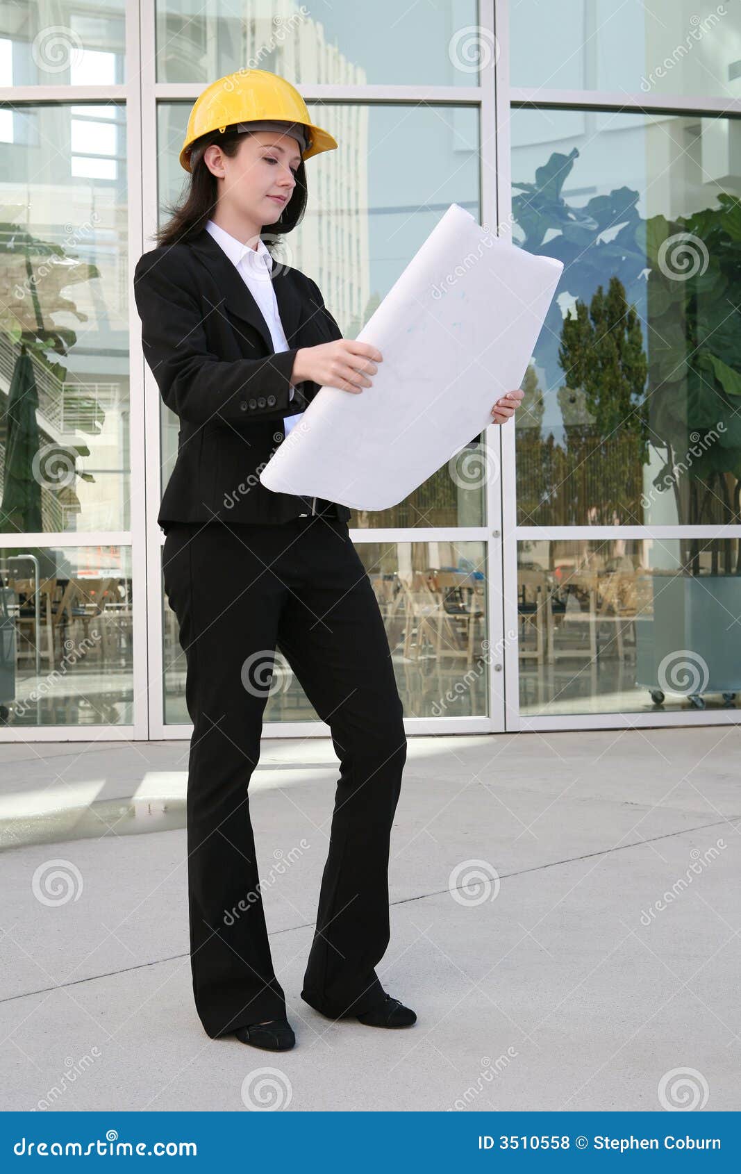 Woman Architect stock photo. Image of expert, beautiful - 3510558