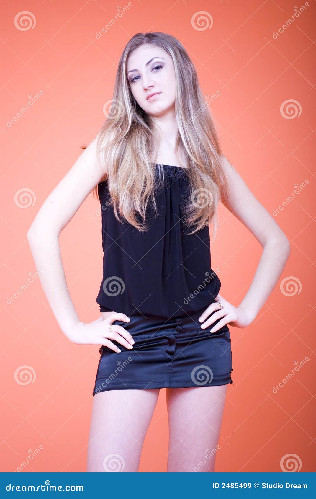 Woman with attitude stock image. Image of hands, female - 2485499