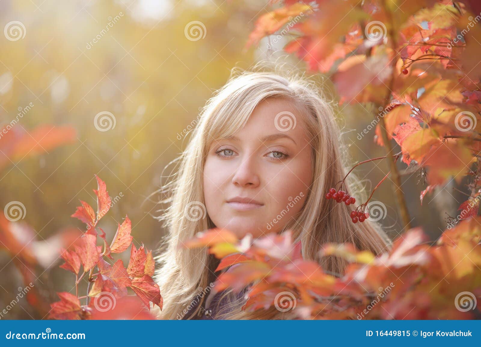 Woman in the autumn stock image. Image of female, face - 16449815