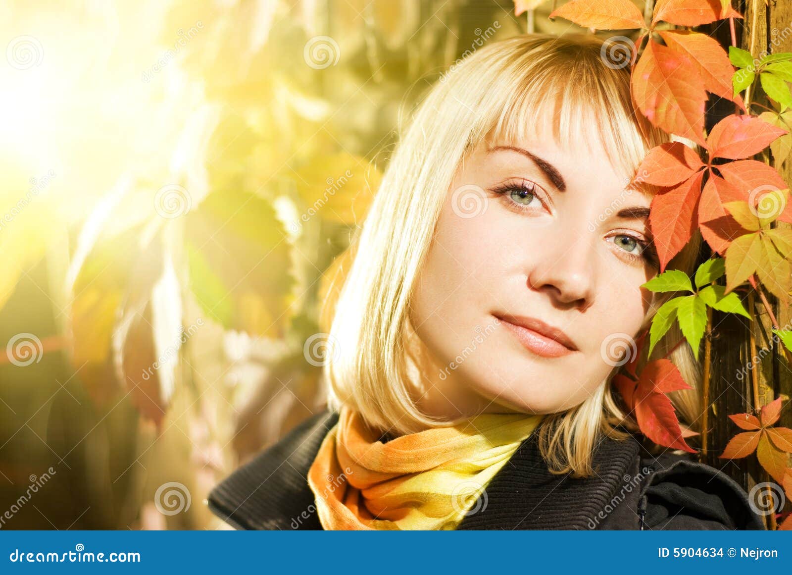 Woman on autumn background stock photo. Image of portrait - 5904634